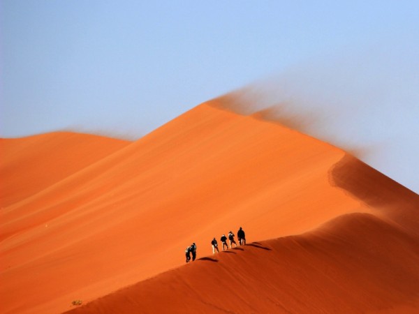 Obligataire: tenez bon et profitez du marché haussier! | Allnews