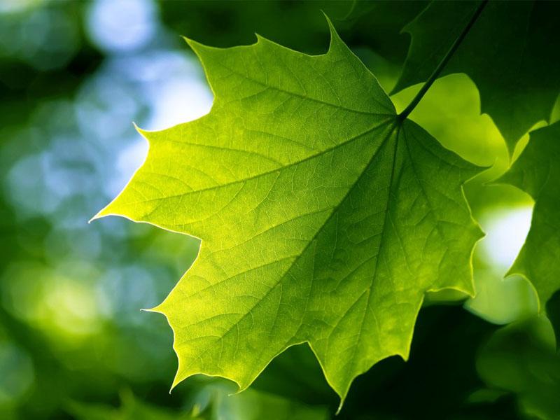 Financer le «Green Deal» européen | Allnews