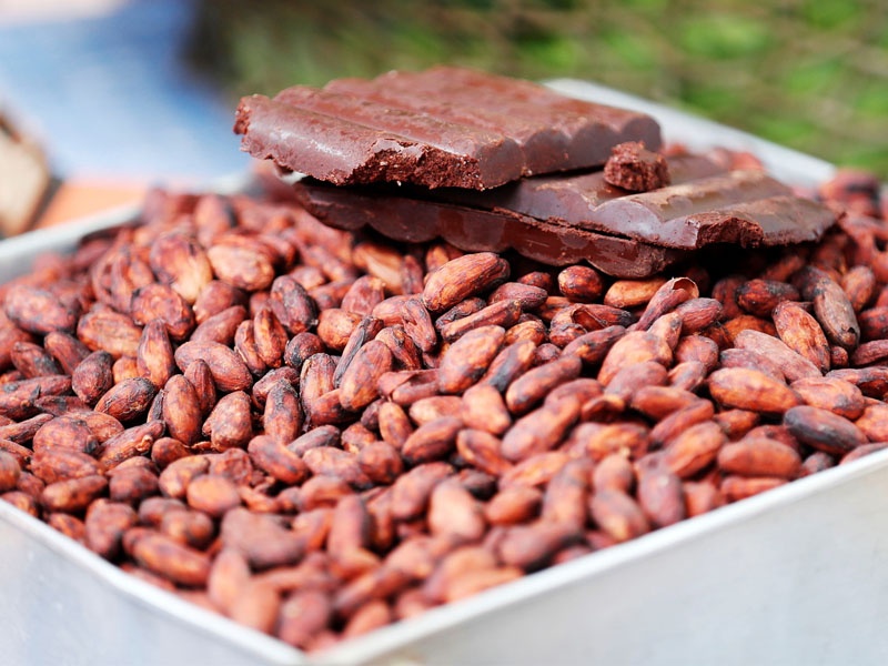 Record-Breaking Cocoa Prices and Declining Nickel Value: Market Updates ...
