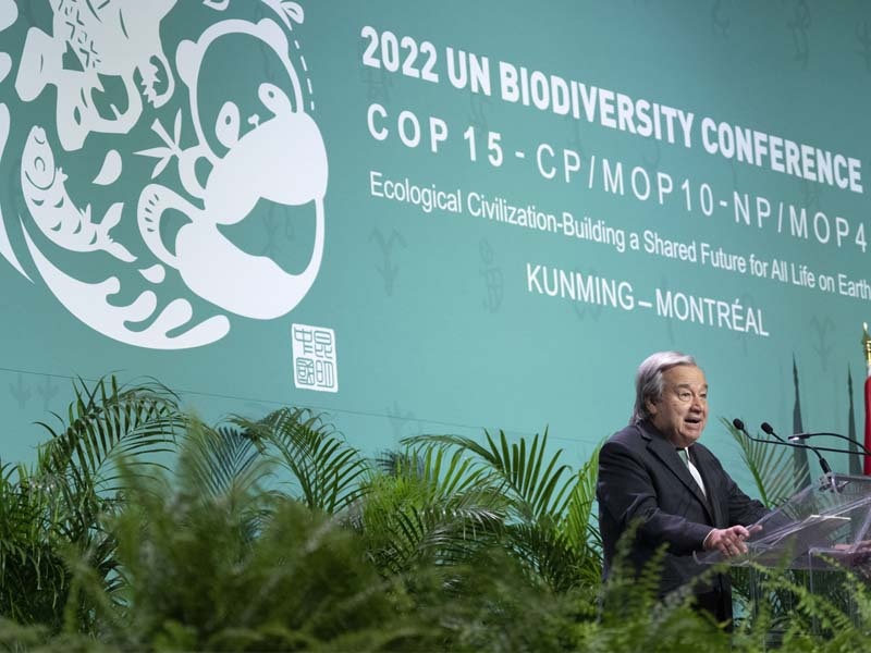 COP15: protéger 30% de la planète d’ici 2030, l’objectif phare très débattu | Allnews