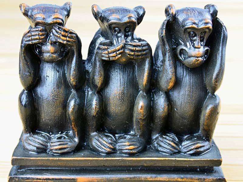 Les singes de la sagesse | Allnews